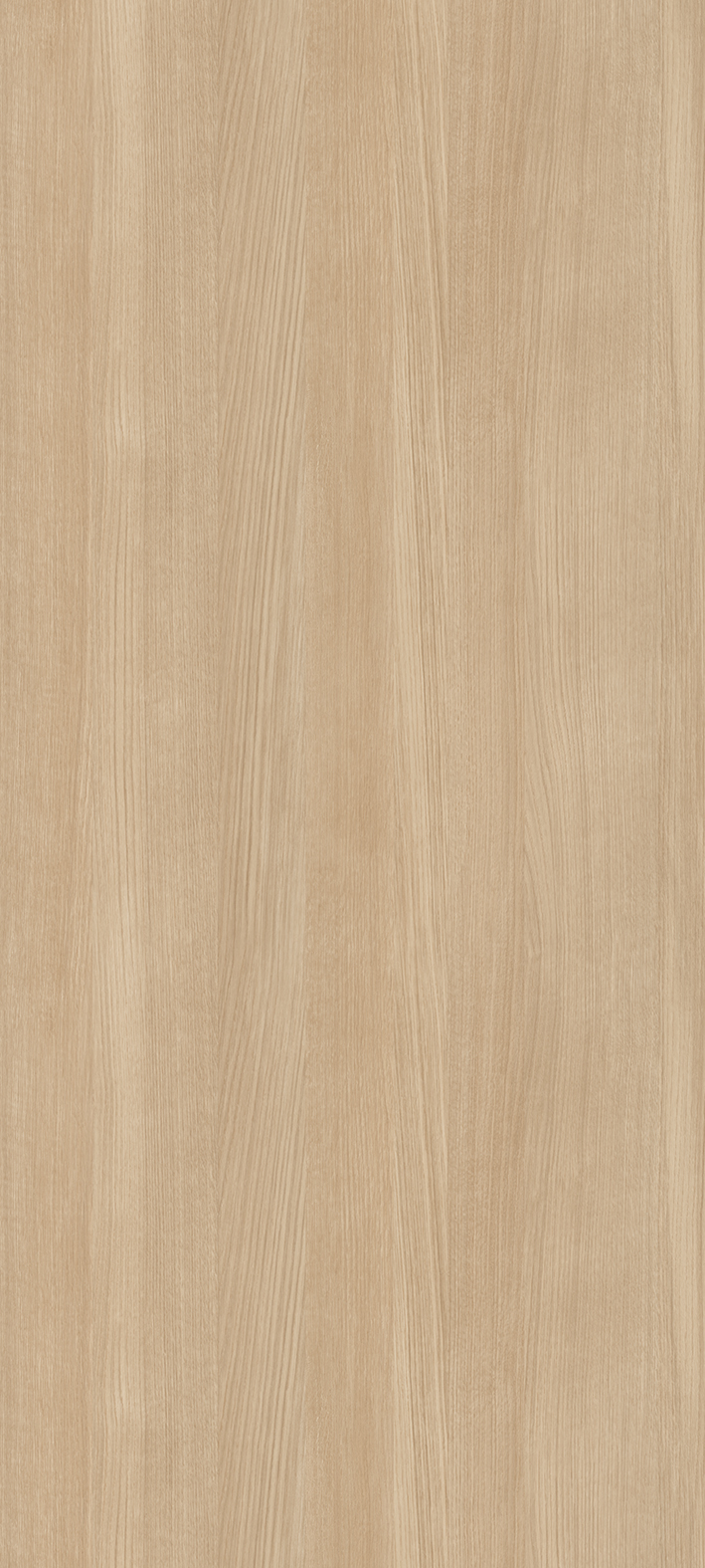 WS-5255E | サンプル・カタログ請求